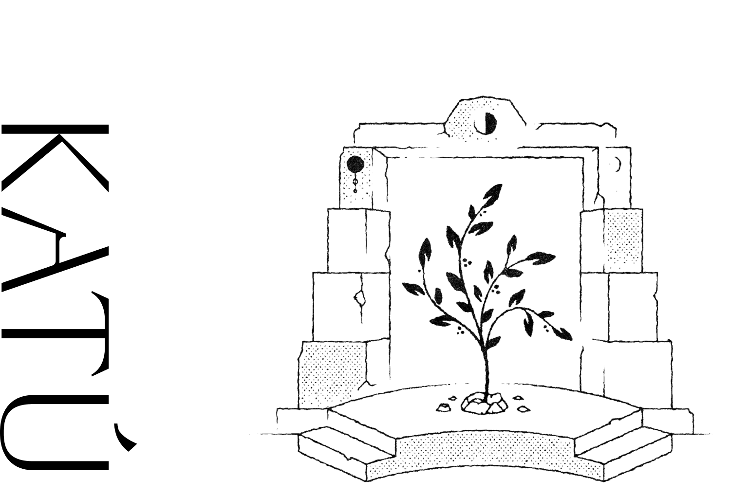 Katú - Yerba Mate - Energy for the Mind™